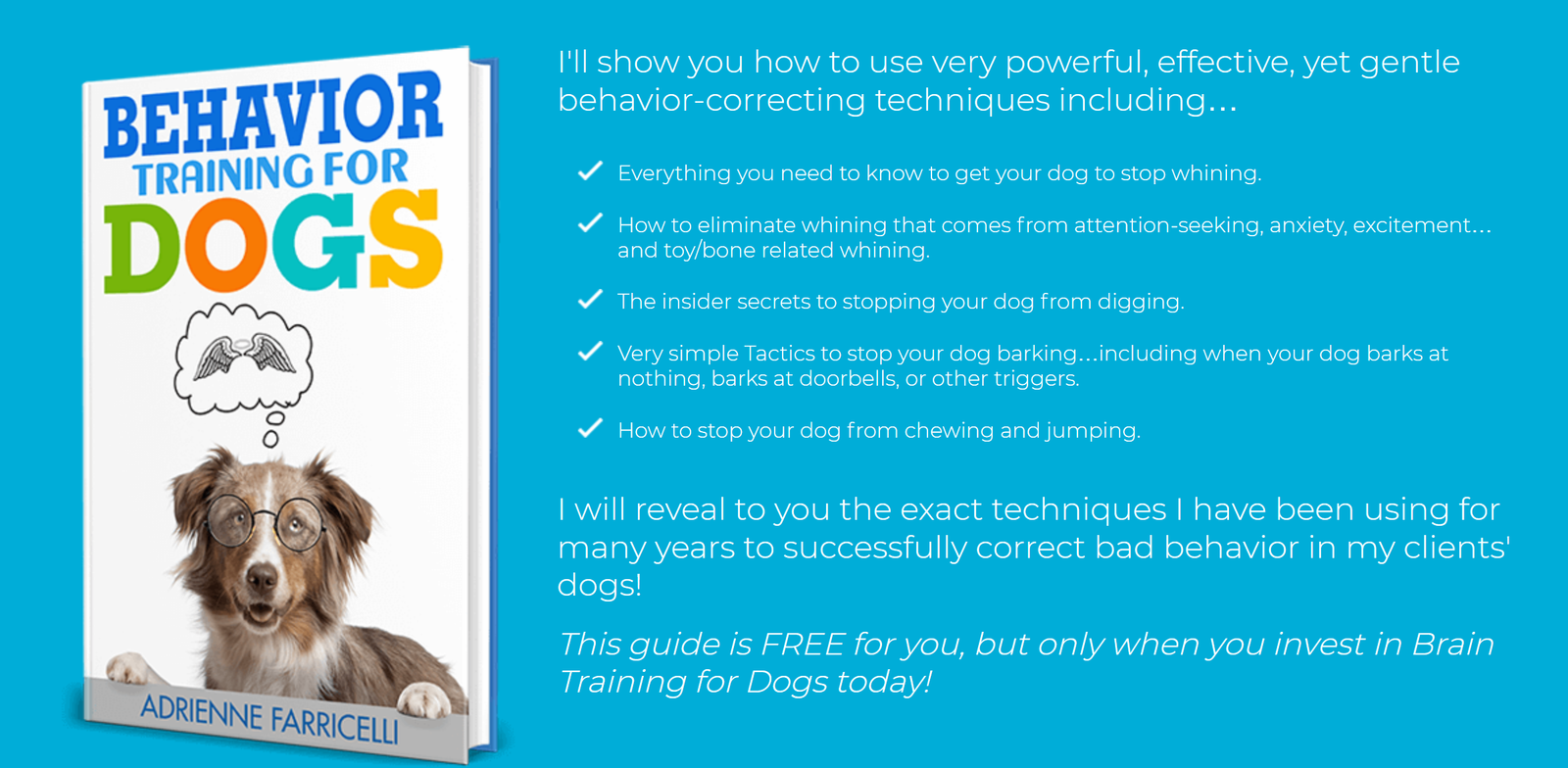 Best Dog Training Books: A Trainer’s Step-by-Step Guide - Expert Dog ...